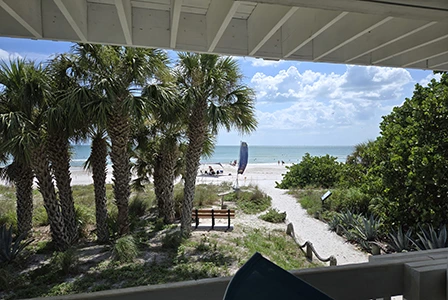 Things To Do - Seaside Seabird Sanctuary